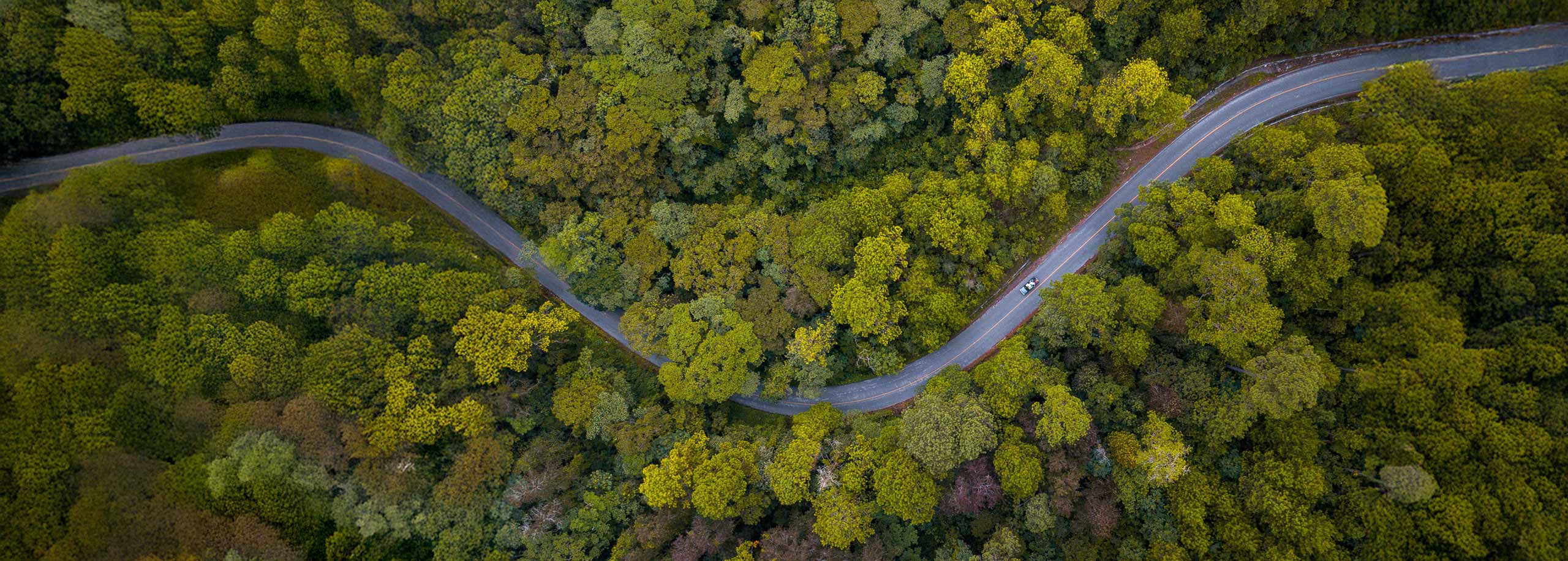 No services found - Earth